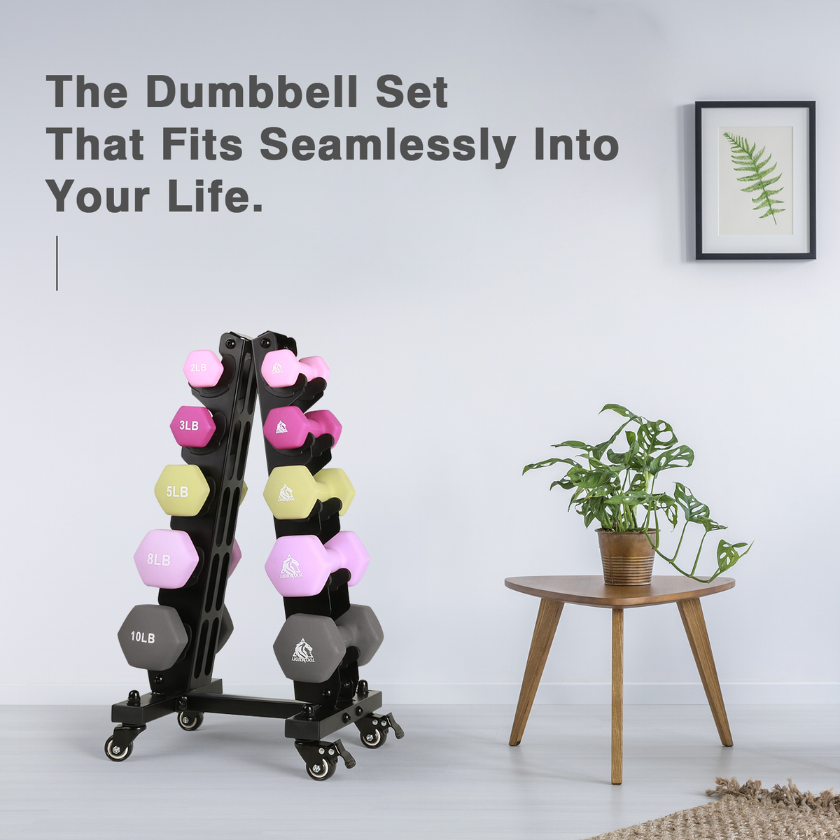 Neoprene Dumbbell Set with Rack – LIONSCOOL