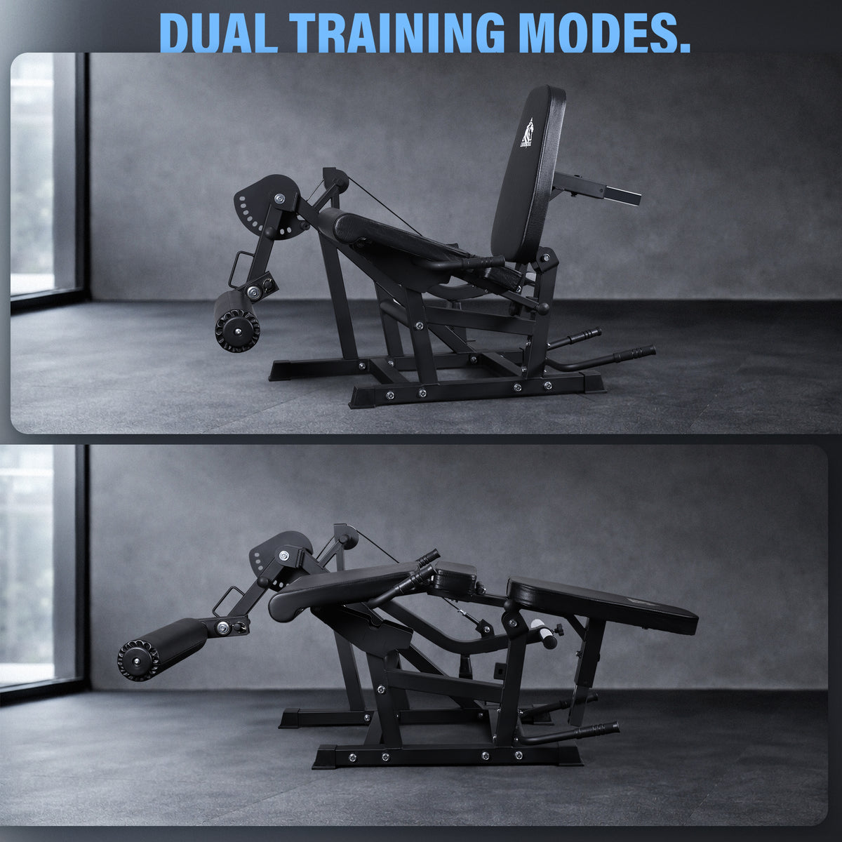 LIONSCOOL Leg Extension and Curl Machine V4.0, Adjustable Seated and ...
